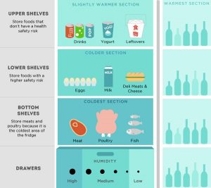 Refrigerator Storage Chart and Guidelines: Where to Place your Food in ...